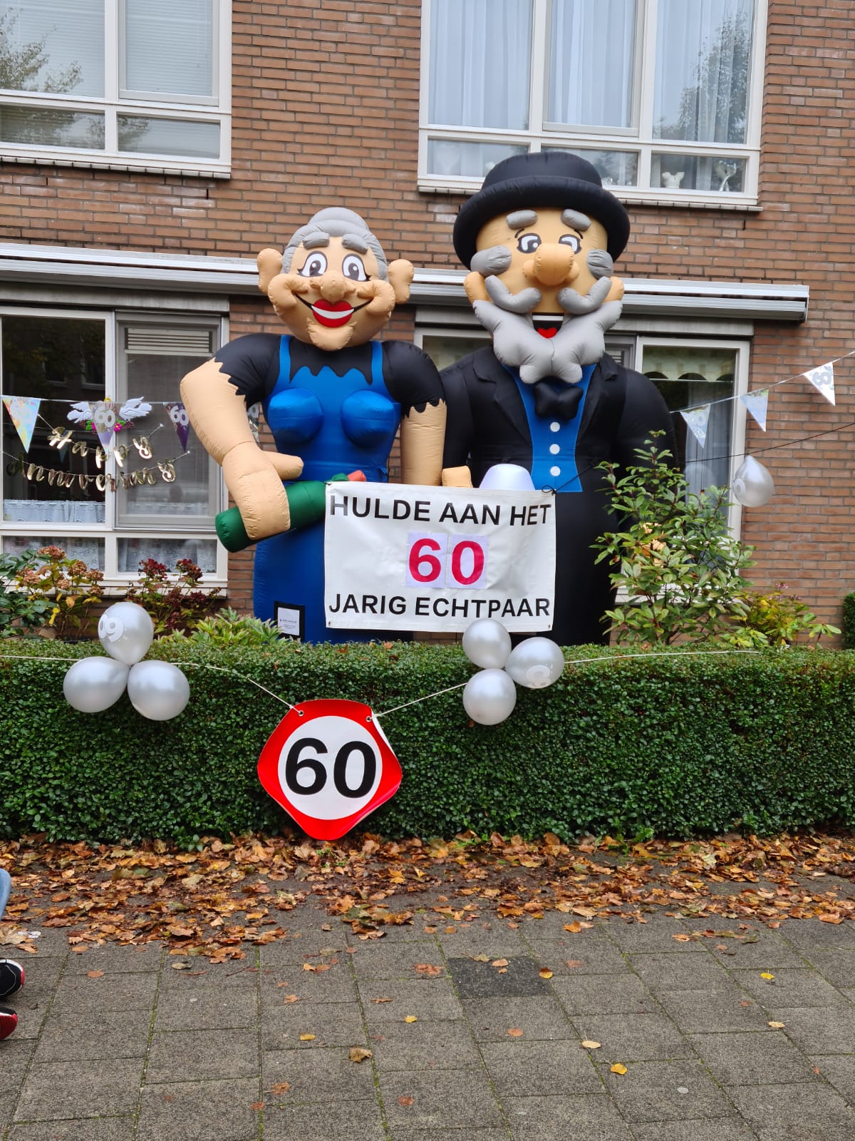 Bruidspaar Cartoon- Hulde aan het bruidspaar- Afhalen Maarssen